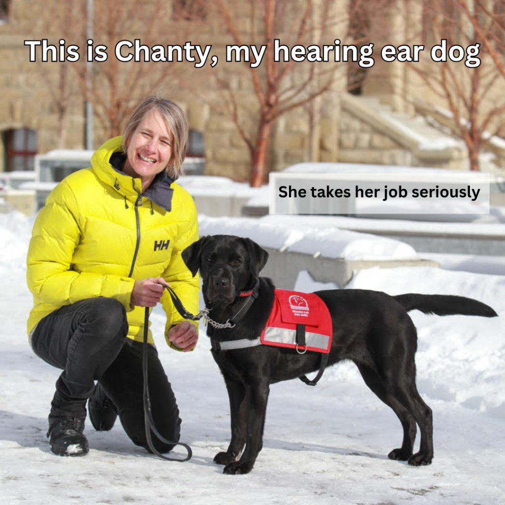 This is Chanty, my hearing ear dog | HEARa